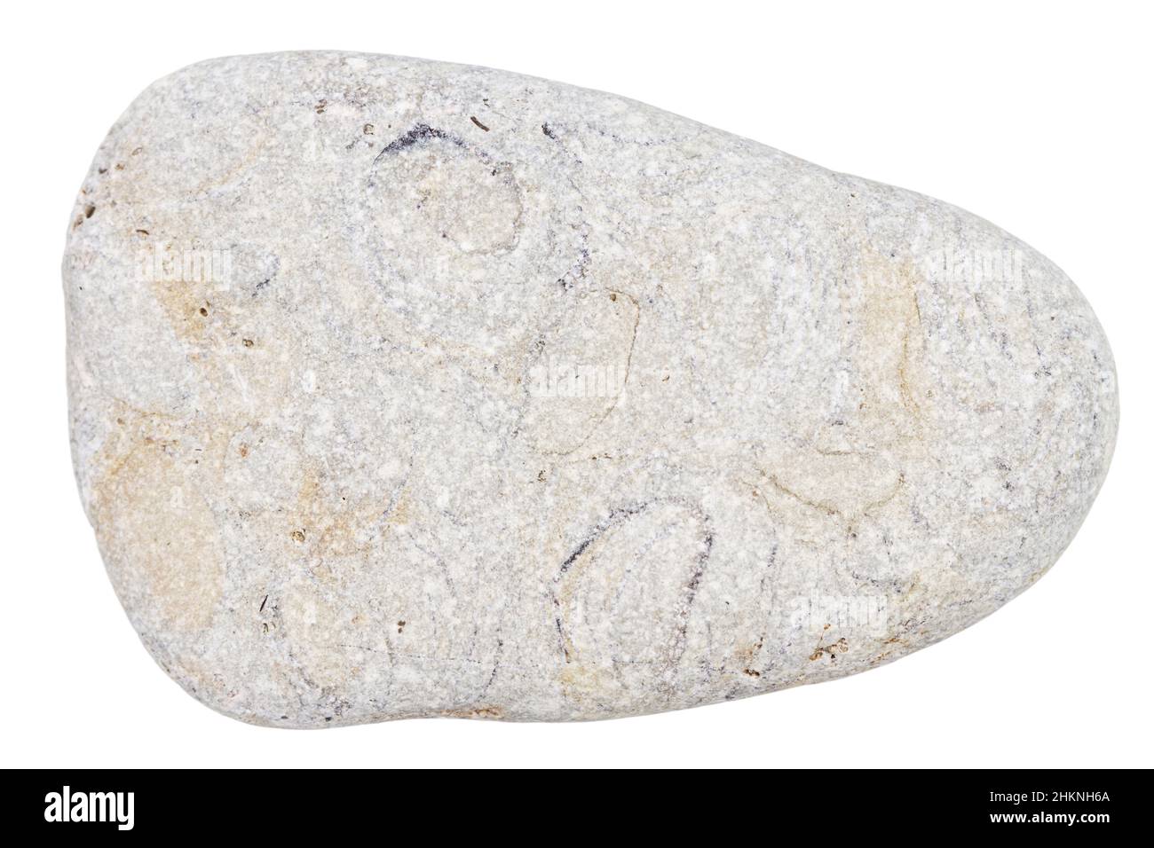 Top view of single gray pebble isolated on white background Stock Photo ...