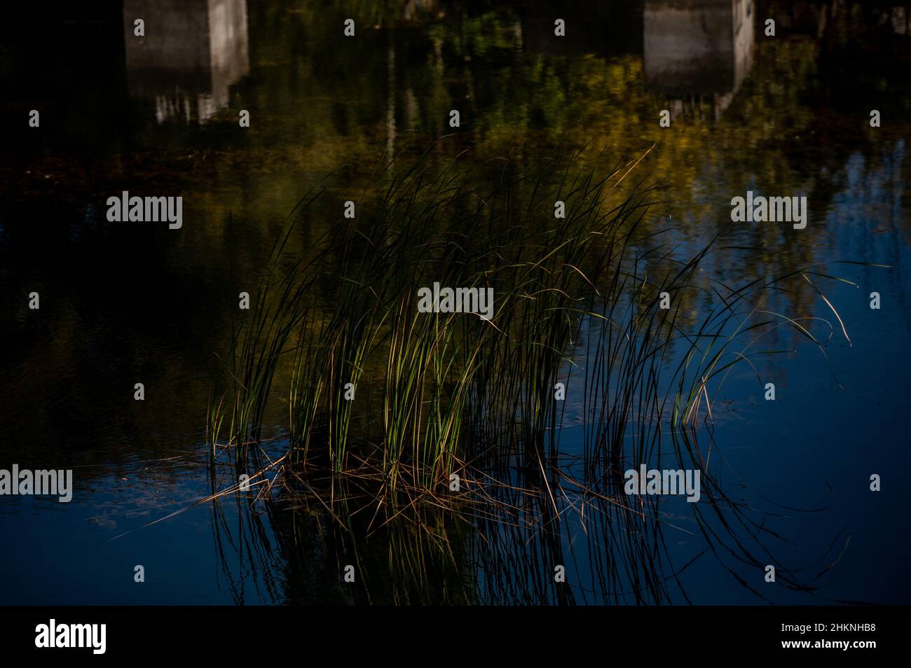 The 5th reactor at the Chernobyl Nuclear Power Plant was never finished ...