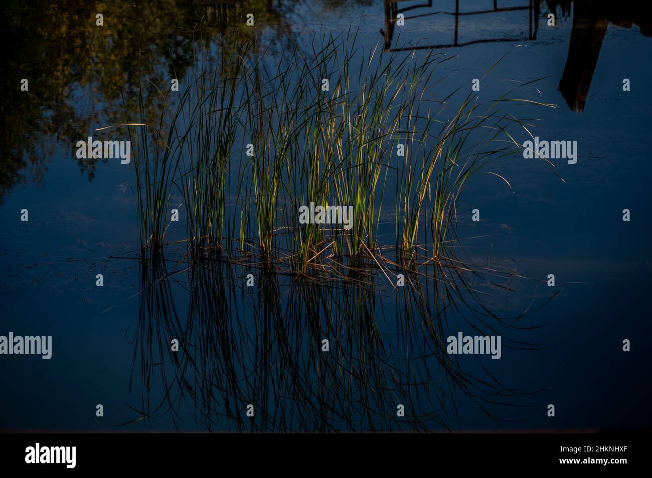 The 5th reactor at the Chernobyl Nuclear Power Plant was never finished ...