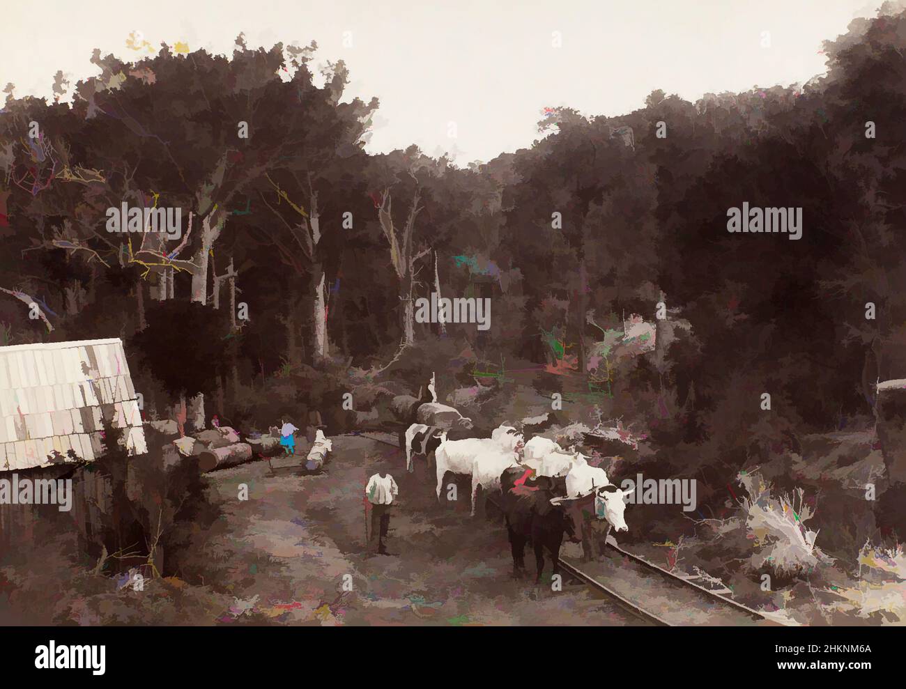 Art inspired by Taupaki Bush : Mr MH Roes bullock team on tram, Kauri ...