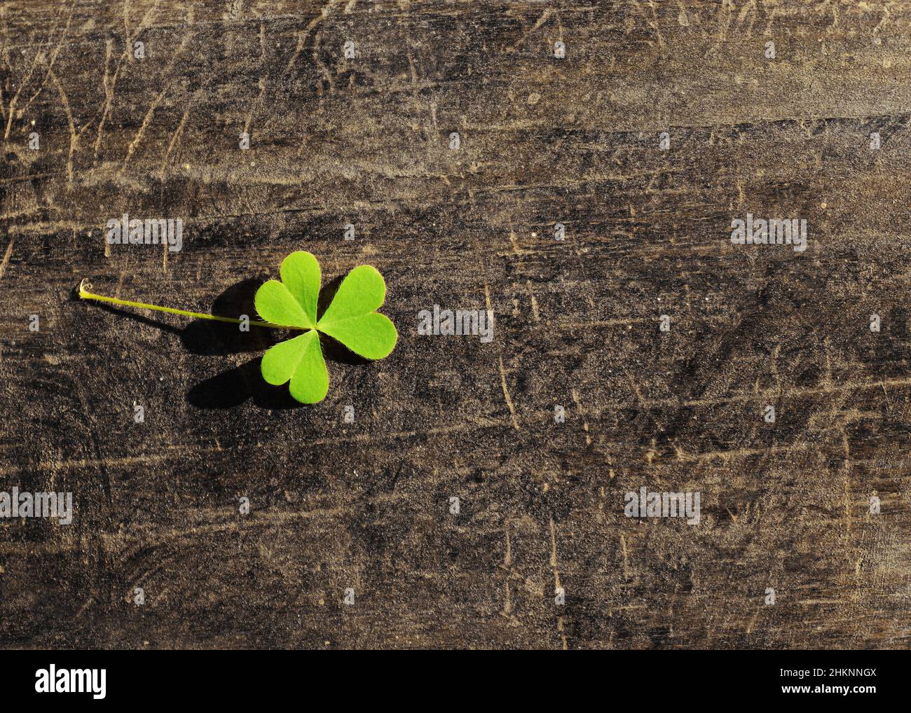 Three clover leaf on rustic wooden background Stock Photo - Alamy