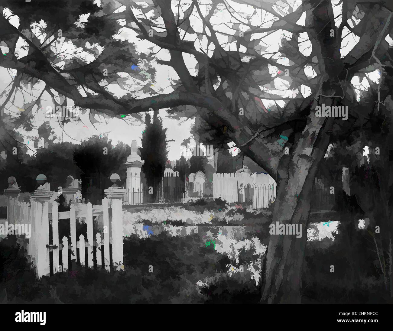 Art inspired by The Cemetery, Wanganui, Burton Brothers studio ...