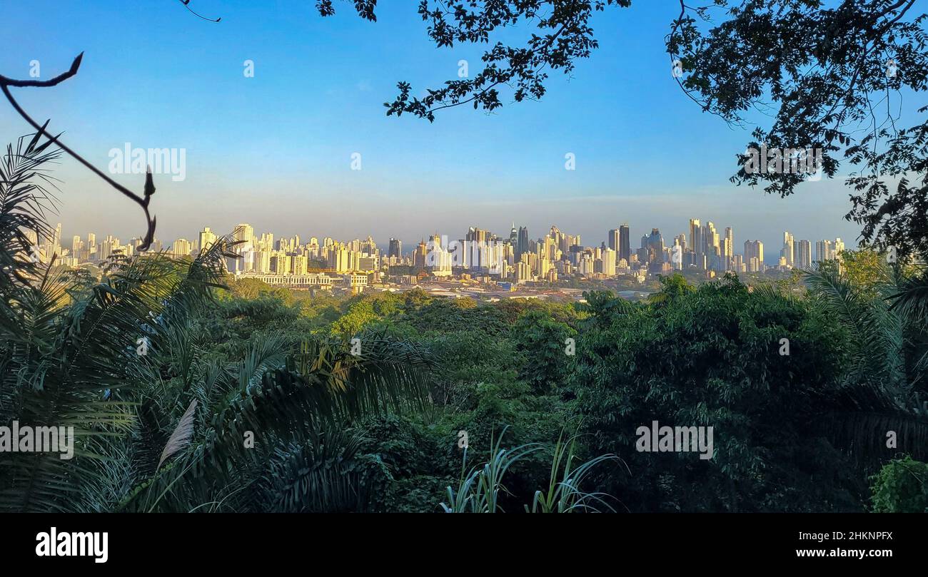 Panama rainforest panorama hi-res stock photography and images - Alamy