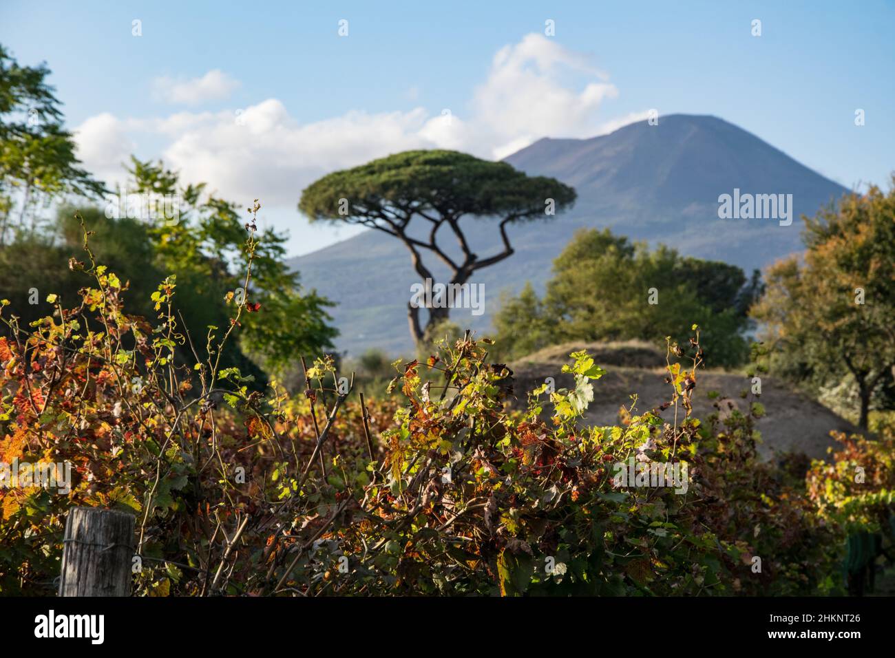 Mount Vesuvius seen from Pompeii Stock Photo - Alamy