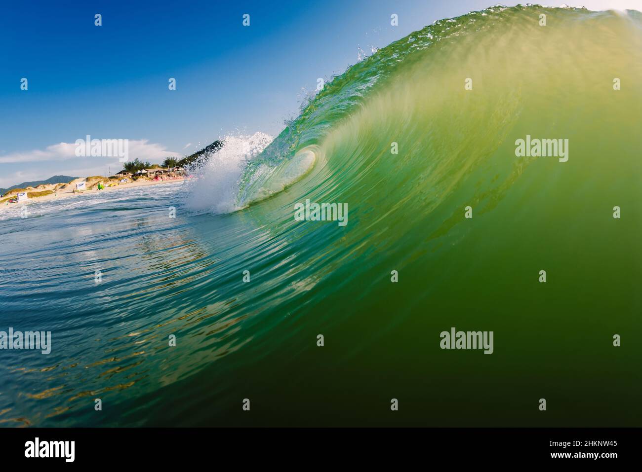 Perfect wave in ocean. Glassy barrel waves with morning light Stock ...