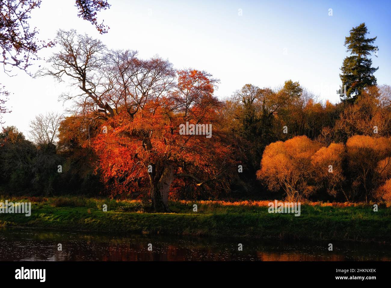 Irish indian hi-res stock photography and images - Alamy