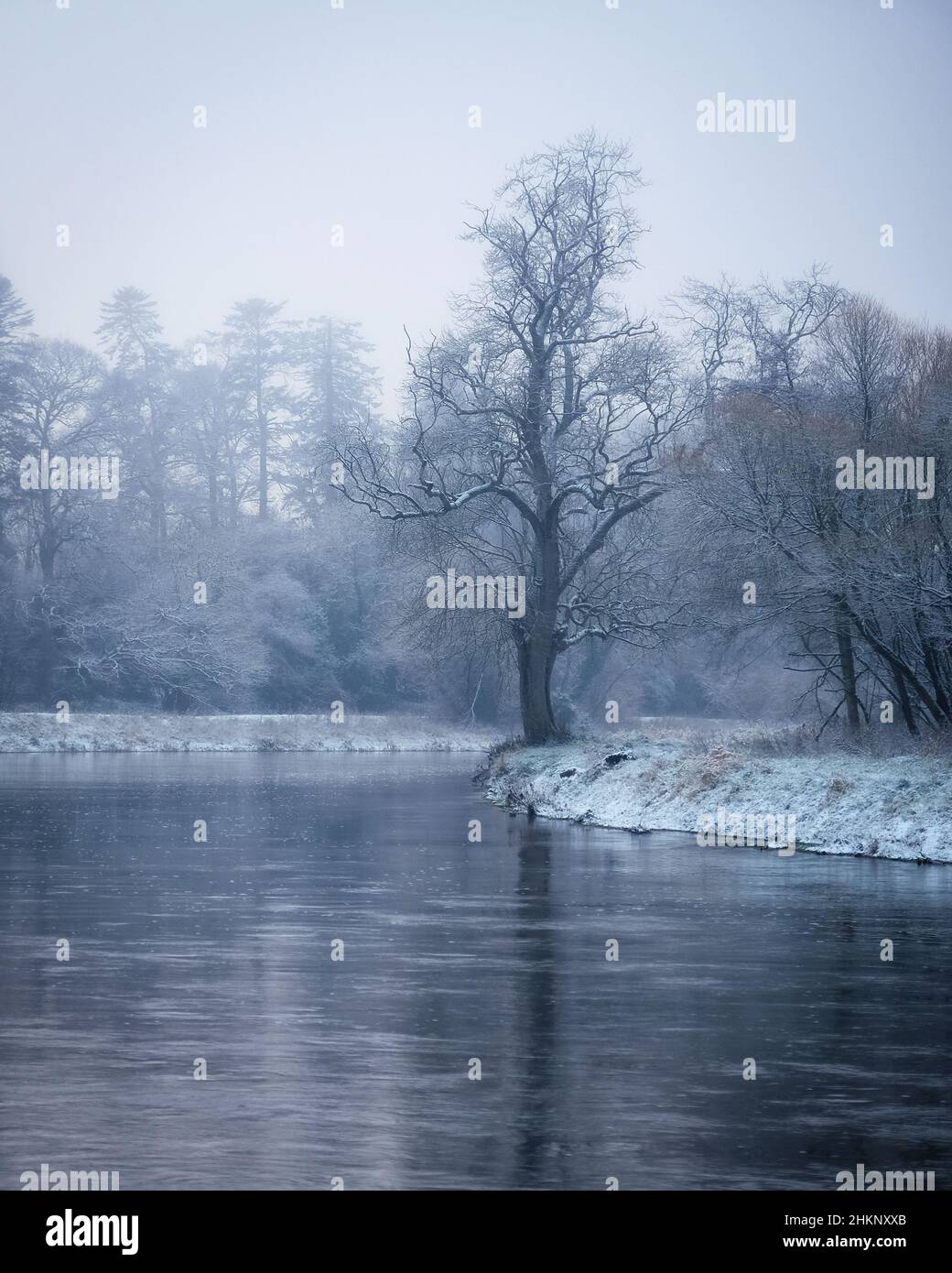 Winter landscape with lonely tree Stock Photo - Alamy