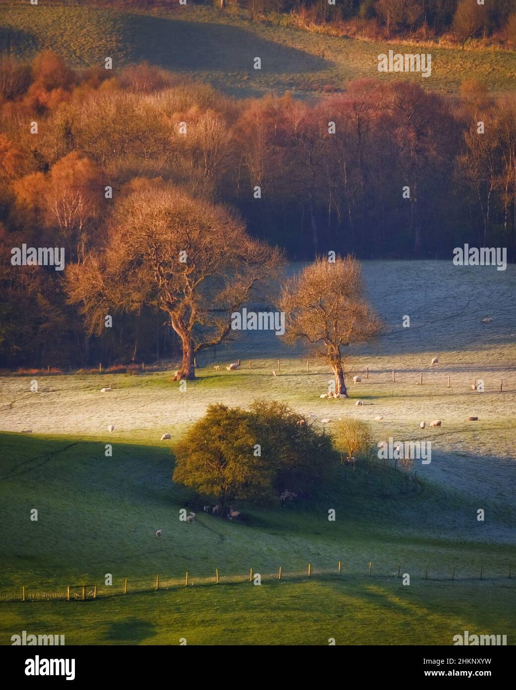 Rural ireland aerial hi-res stock photography and images - Alamy
