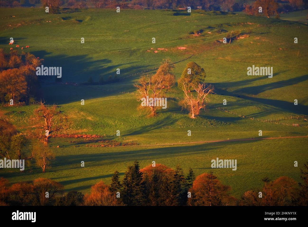 Picturesque rural Irish countryside from above Stock Photo - Alamy
