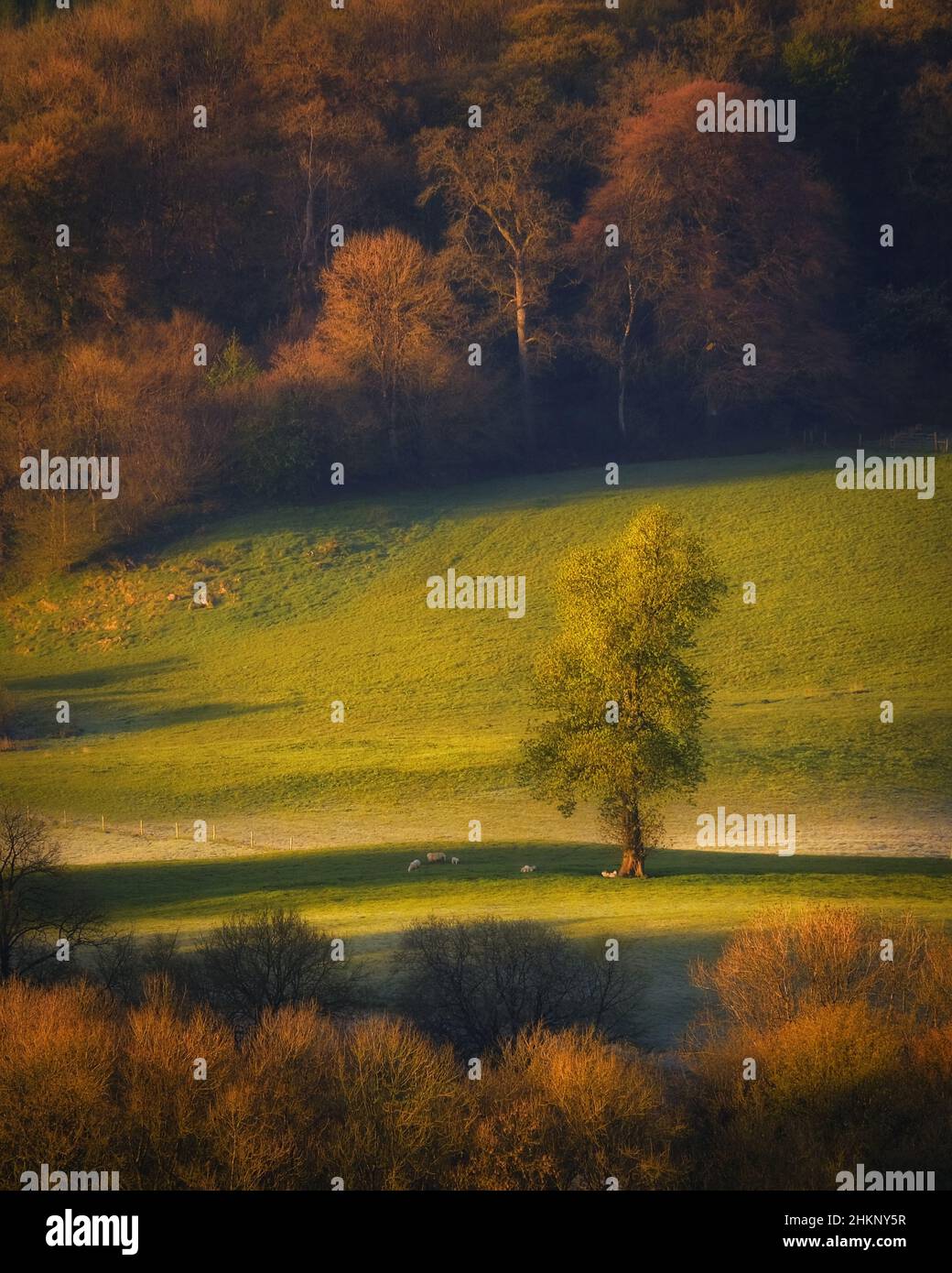 Rural scape hi-res stock photography and images - Alamy