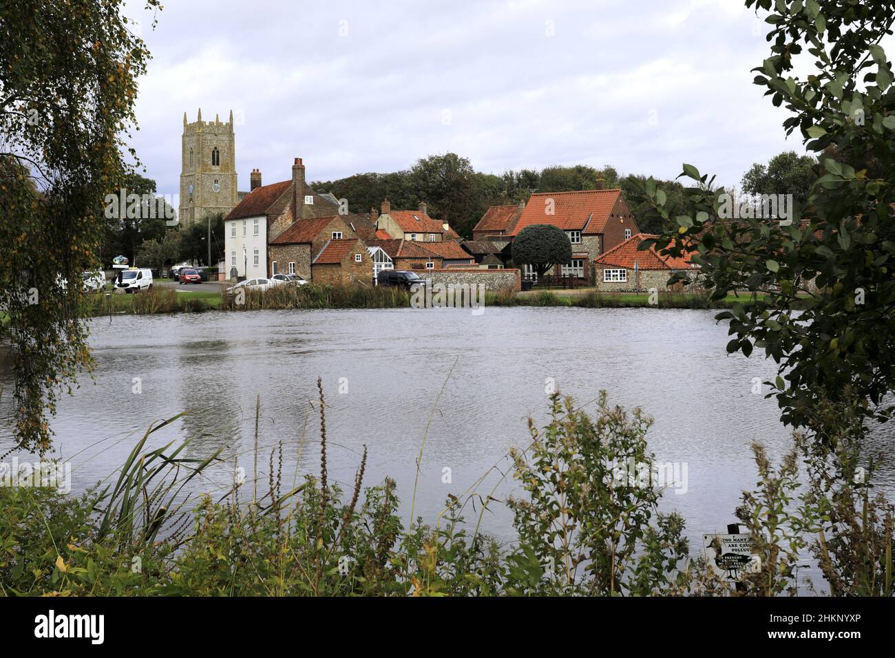 View over the pond at Great Massingham village, North Norfolk, England ...