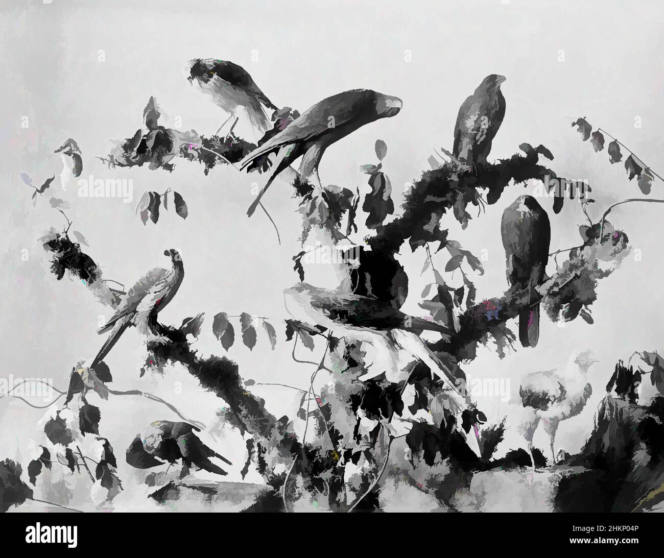 Color And Value In Photography