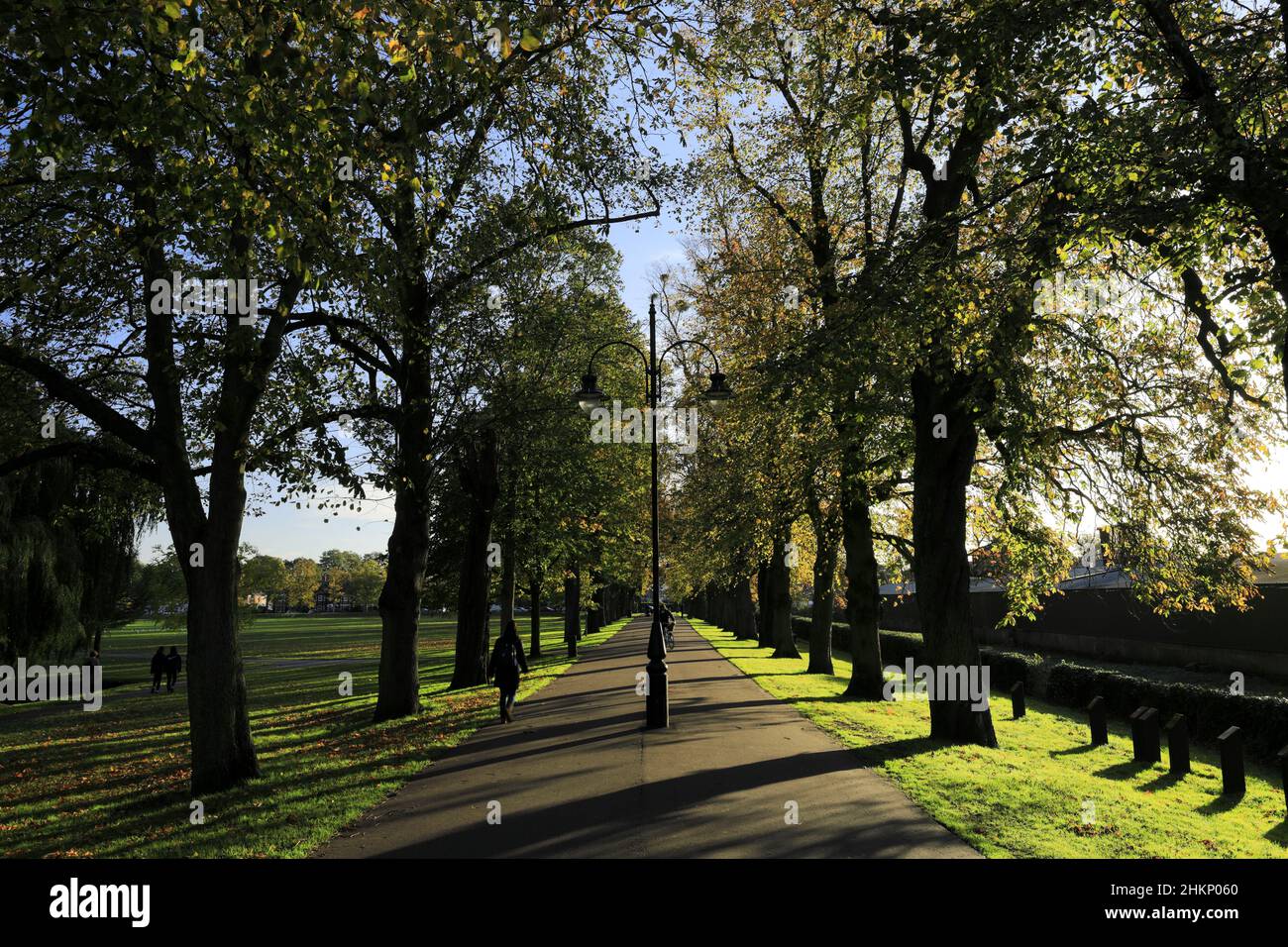 Autumn colours in trees along the Broad Walk park, King's Lynn, Norfolk ...