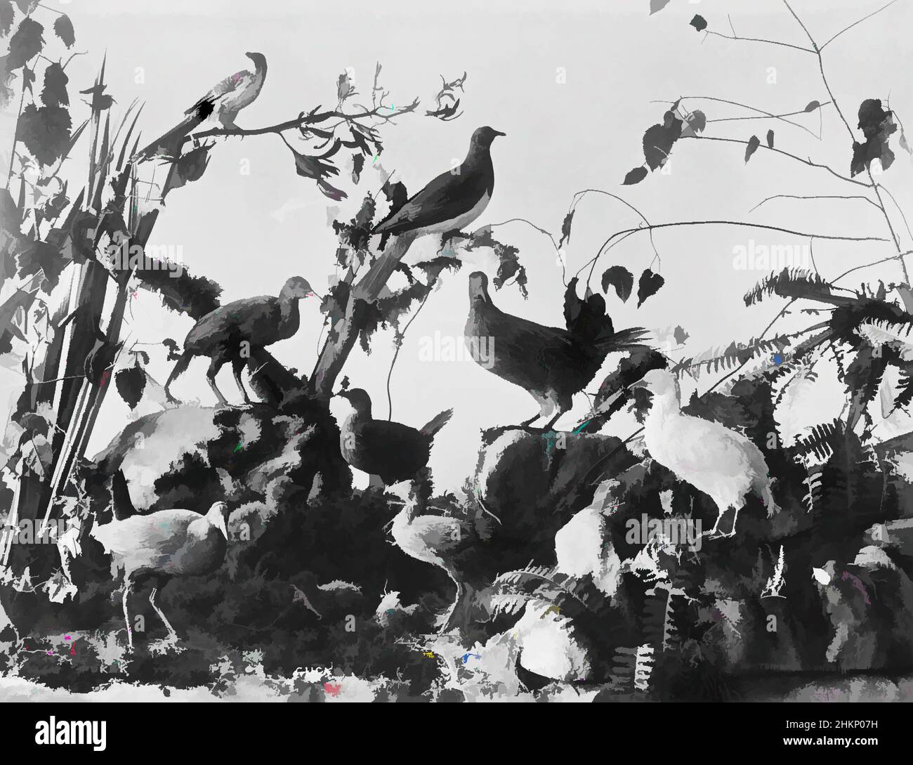 Art inspired by Pukeko, Weka, Pigeon, and Cuckoo., Burton Brothers ...