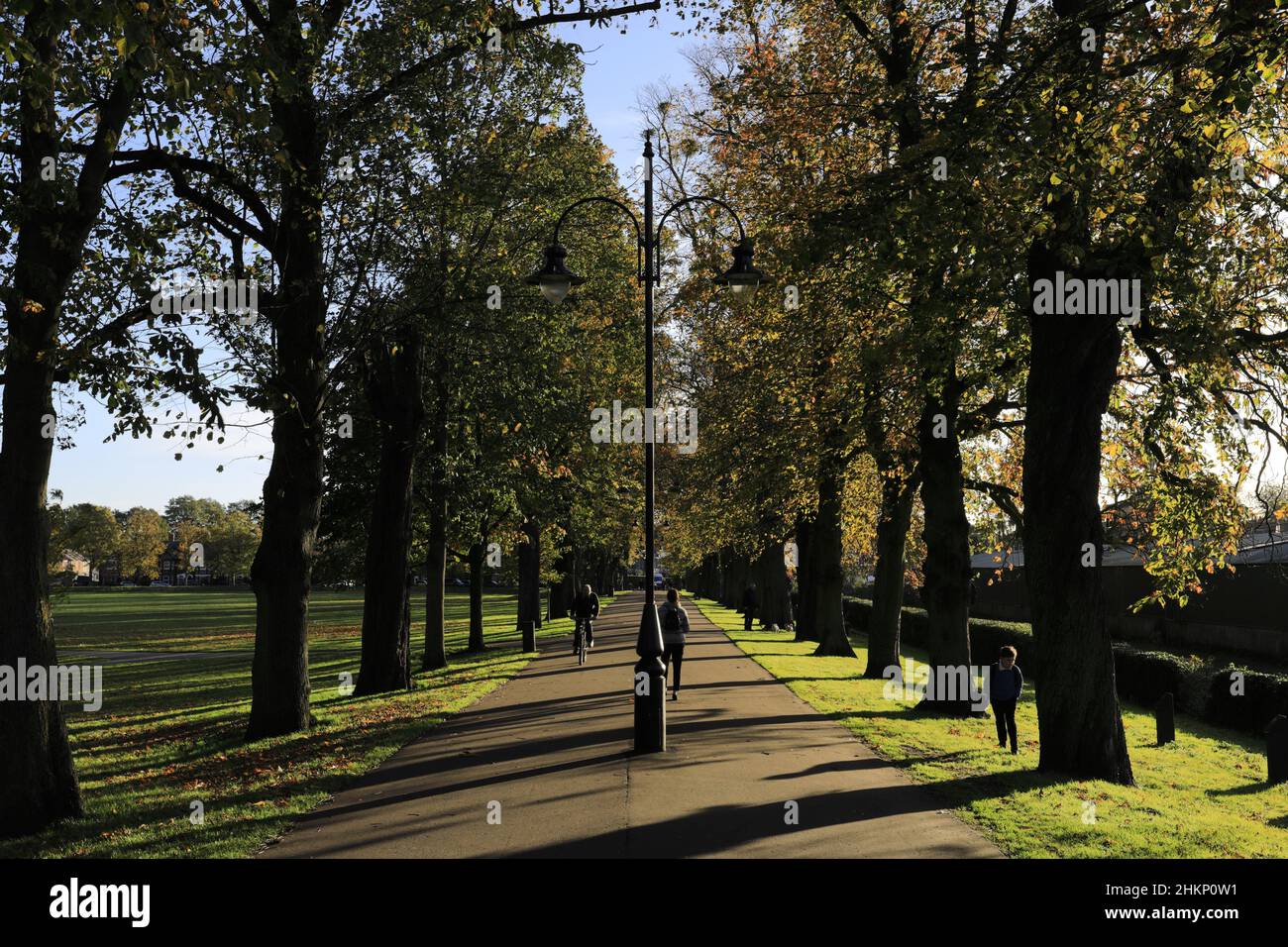 Autumn colours in trees along the Broad Walk park, King's Lynn, Norfolk ...