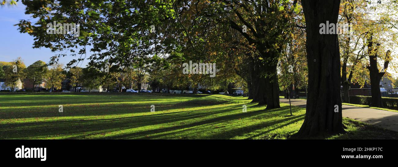 Autumn colours in trees along the Broad Walk park, King's Lynn, Norfolk ...