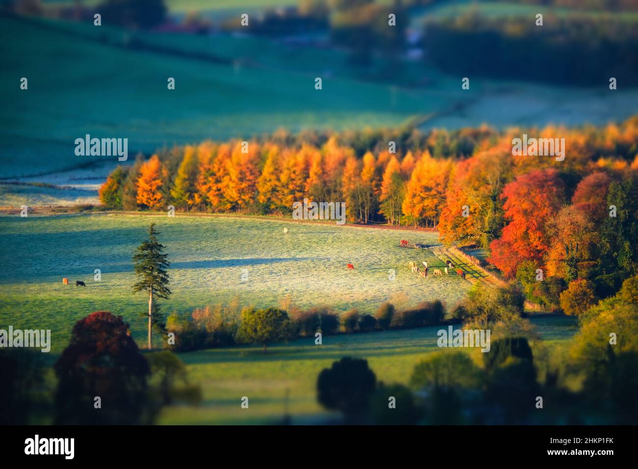 Picturesque rural Irish countryside from above Stock Photo - Alamy