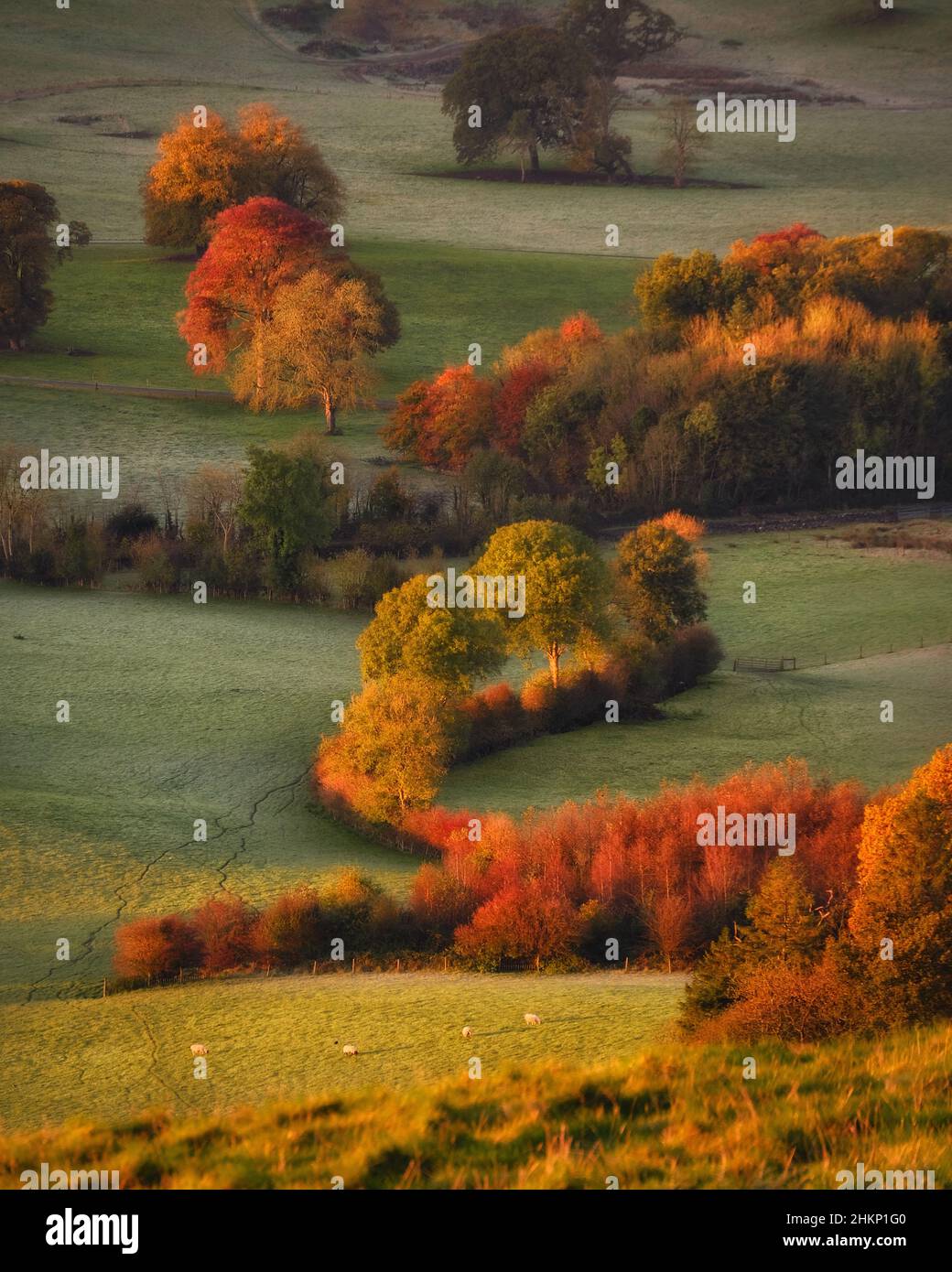 Rural irish countryside hi-res stock photography and images - Alamy