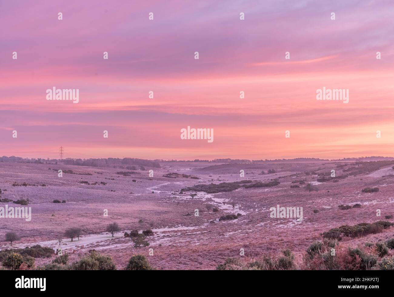 New Forest February Dawn Stock Photo - Alamy