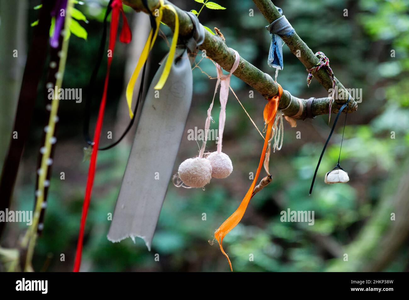 Colourful rags and ribbons tied to tree branches as an offering at a ...