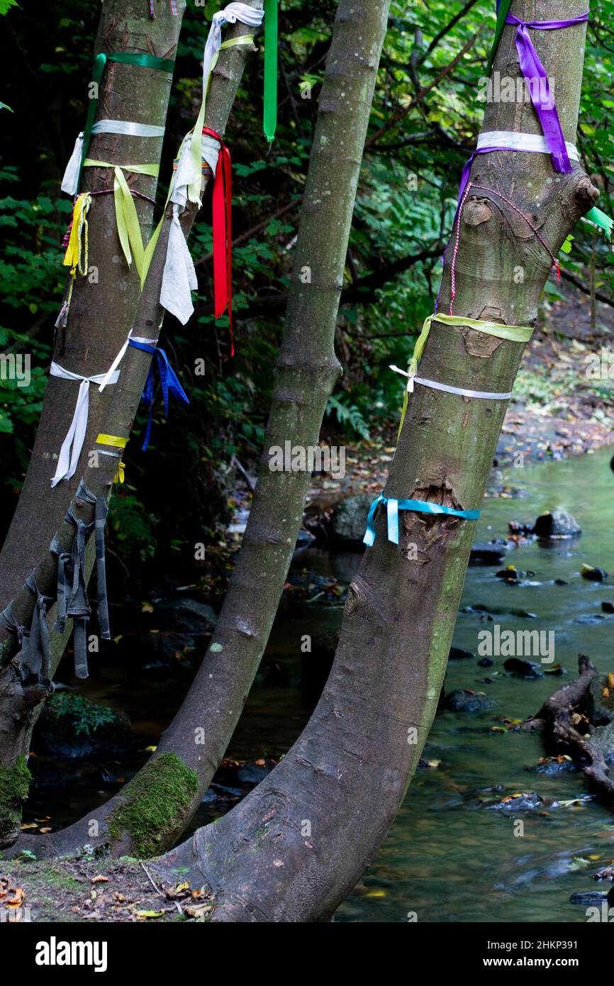 Clootie well hi-res stock photography and images - Alamy