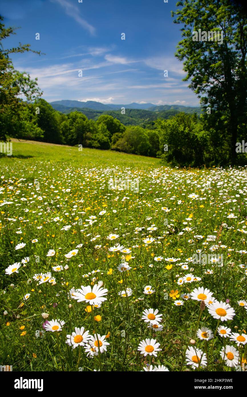 The foothills of the pyrenees hi-res stock photography and images - Alamy