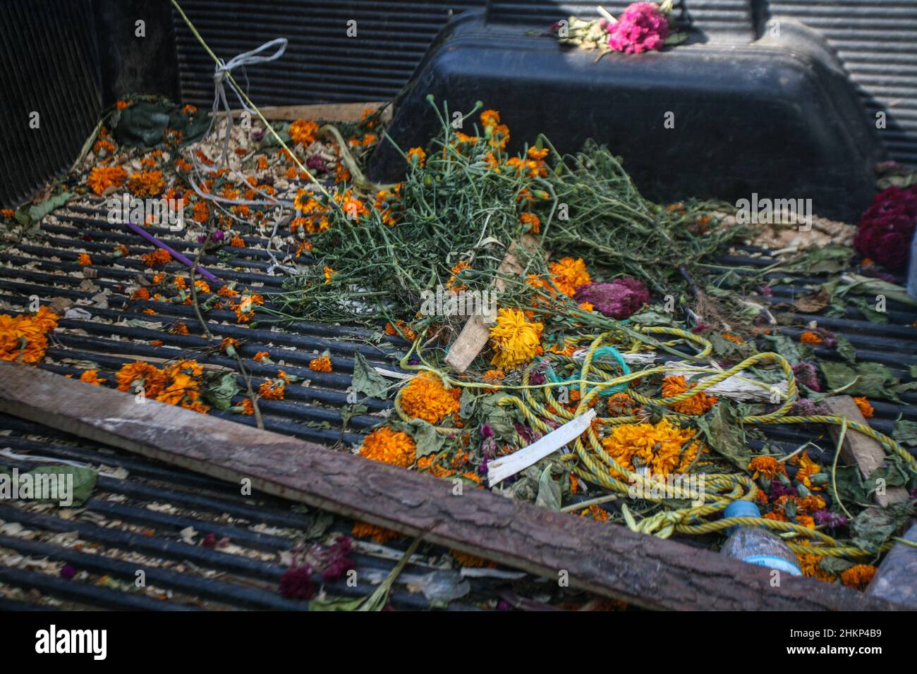 Marigolds, or cempasúchil, are the iconic flower of Día de los Muertos ...