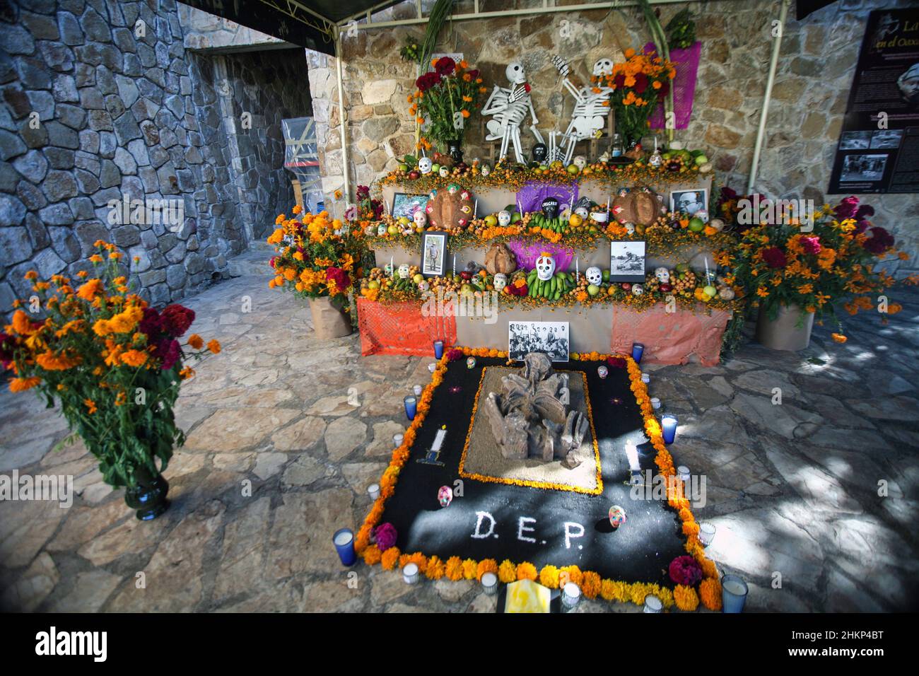 Marigolds, or cempasúchil, are the iconic flower of Día de los Muertos ...