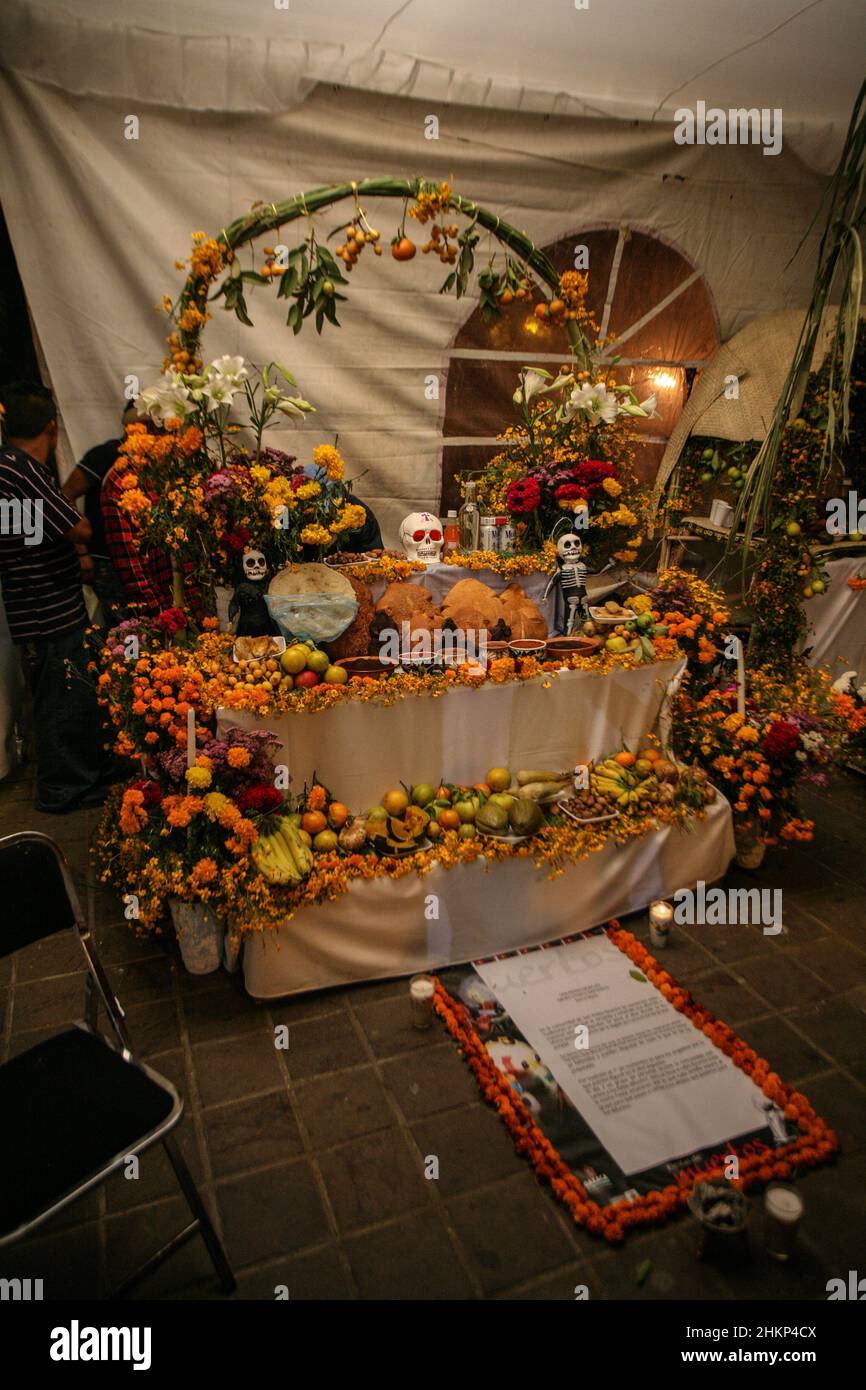 Marigolds, or cempasúchil, are the iconic flower of Día de los Muertos ...
