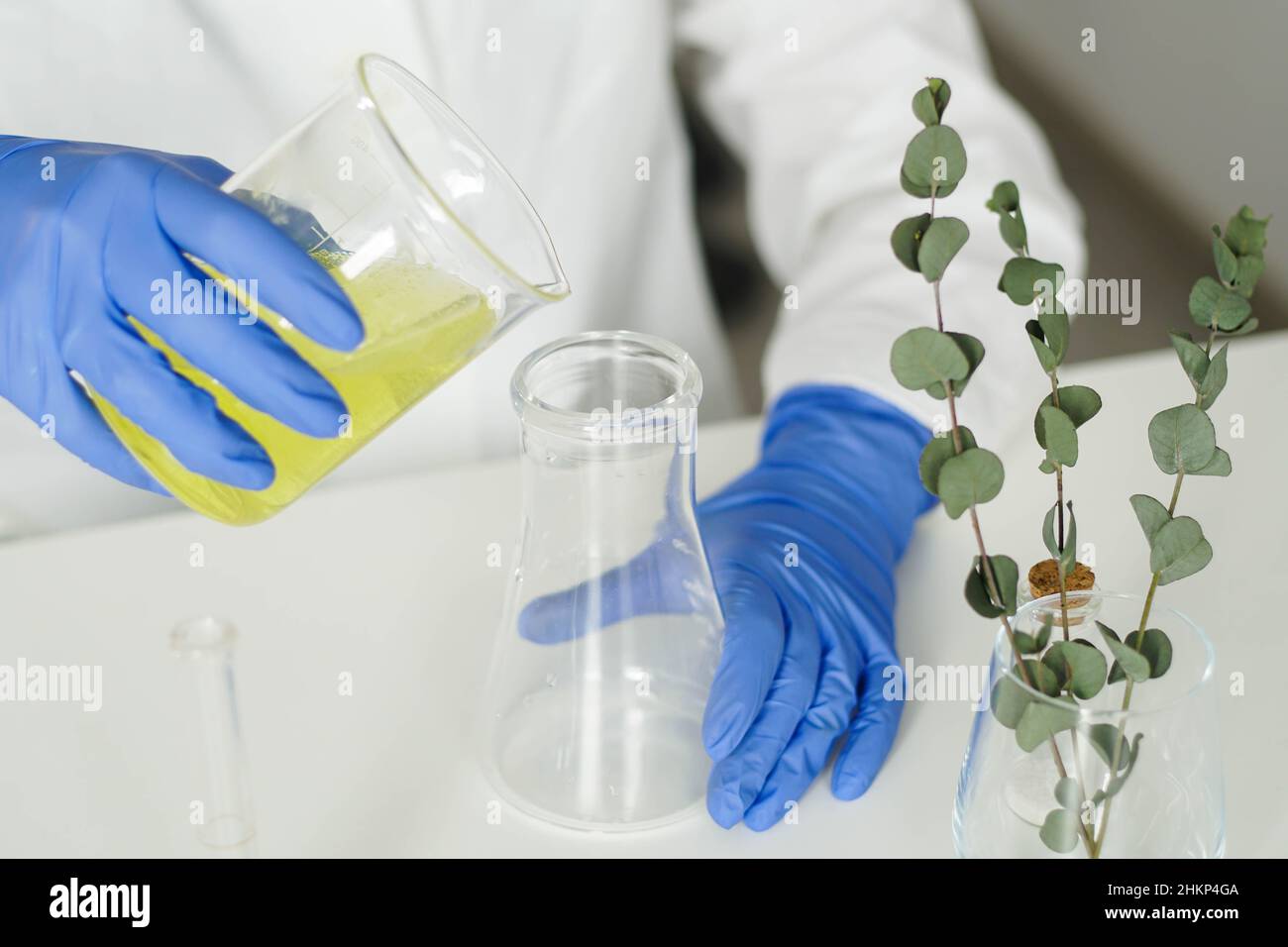 Female laboratory worker pours yellow liquid in flask. Scientific ...