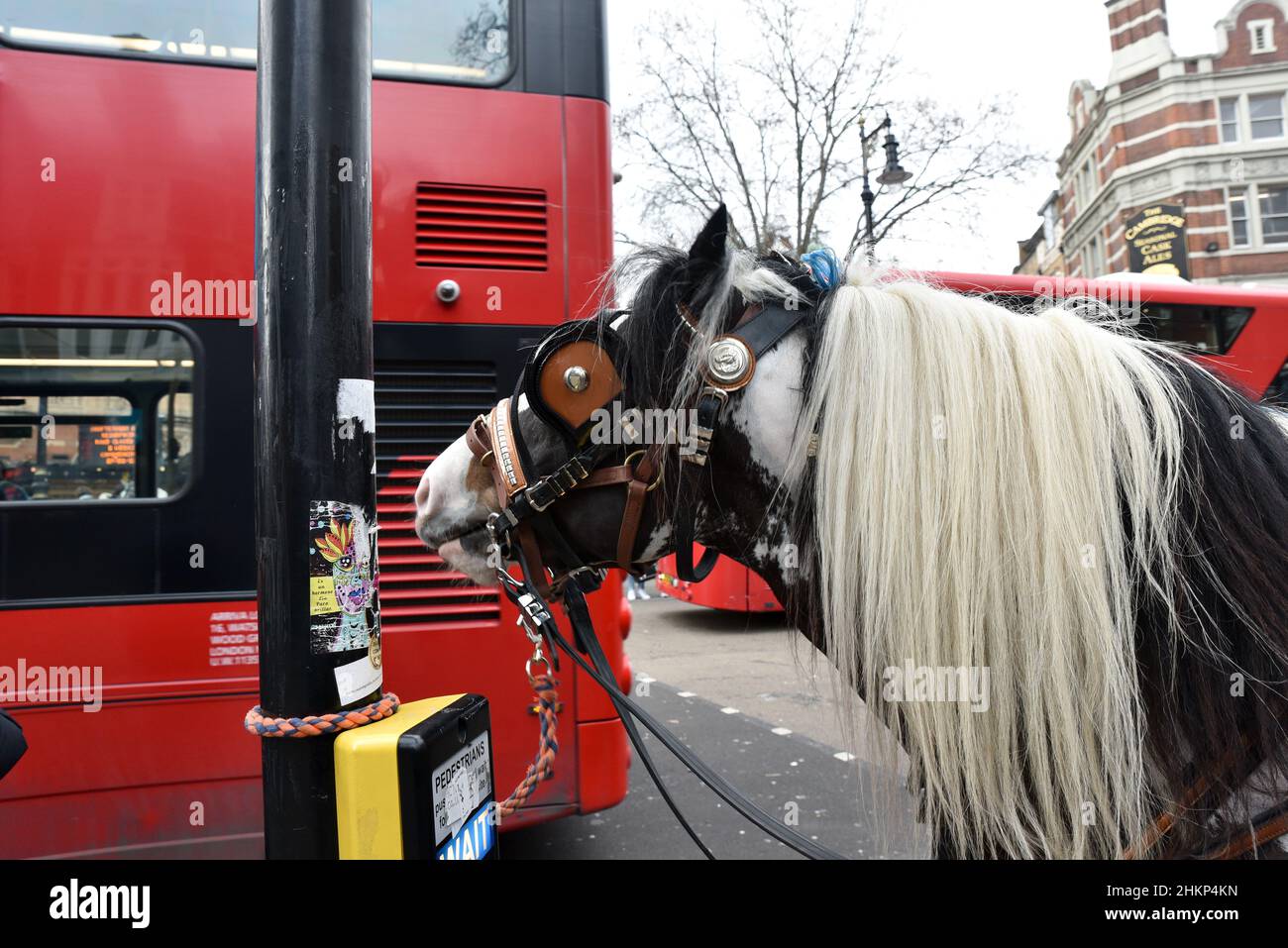 Cambridge Circus, London, UK. 5th February 2022. Travellers and their ...