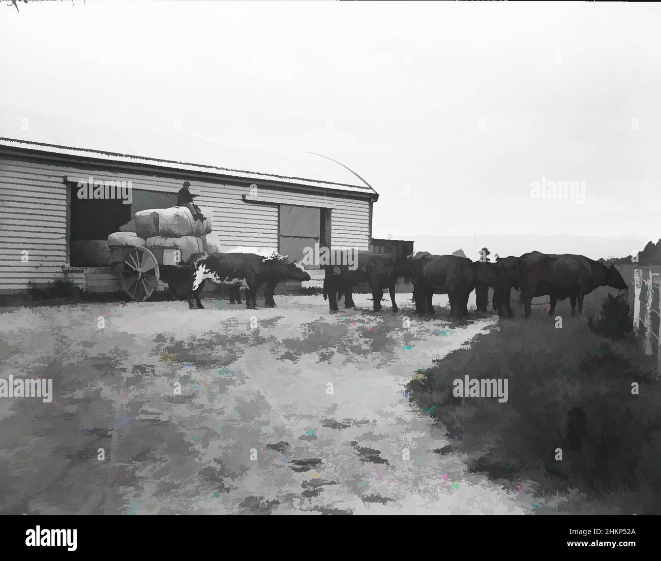 Art inspired by [Bullock team, Waikouati], Burton Brothers studio ...