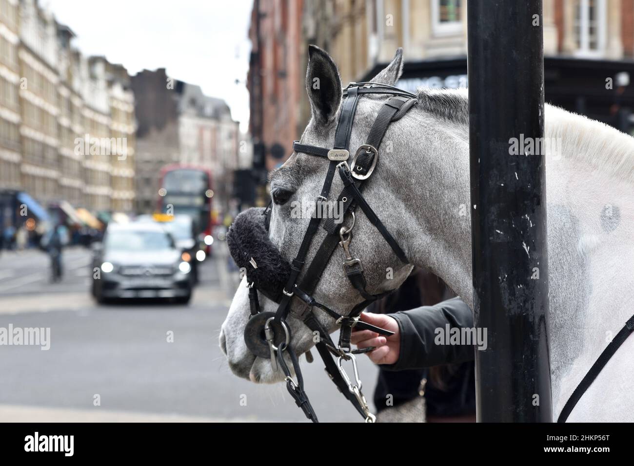Cambridge Circus, London, UK. 5th February 2022. Travellers and their ...