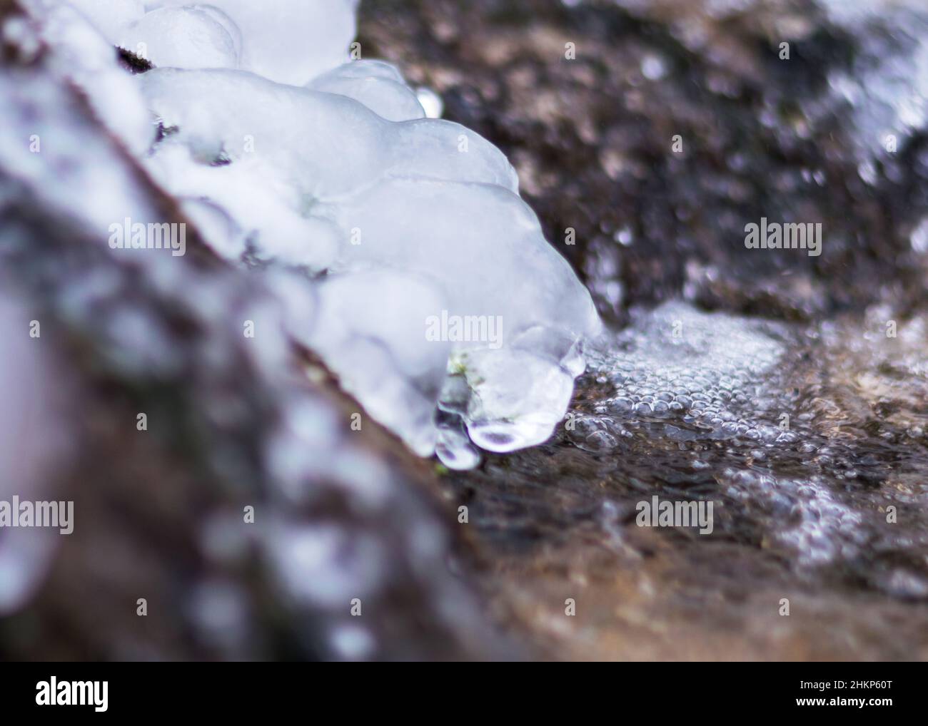 photography with contrasts of frozen and running water, spring water ...