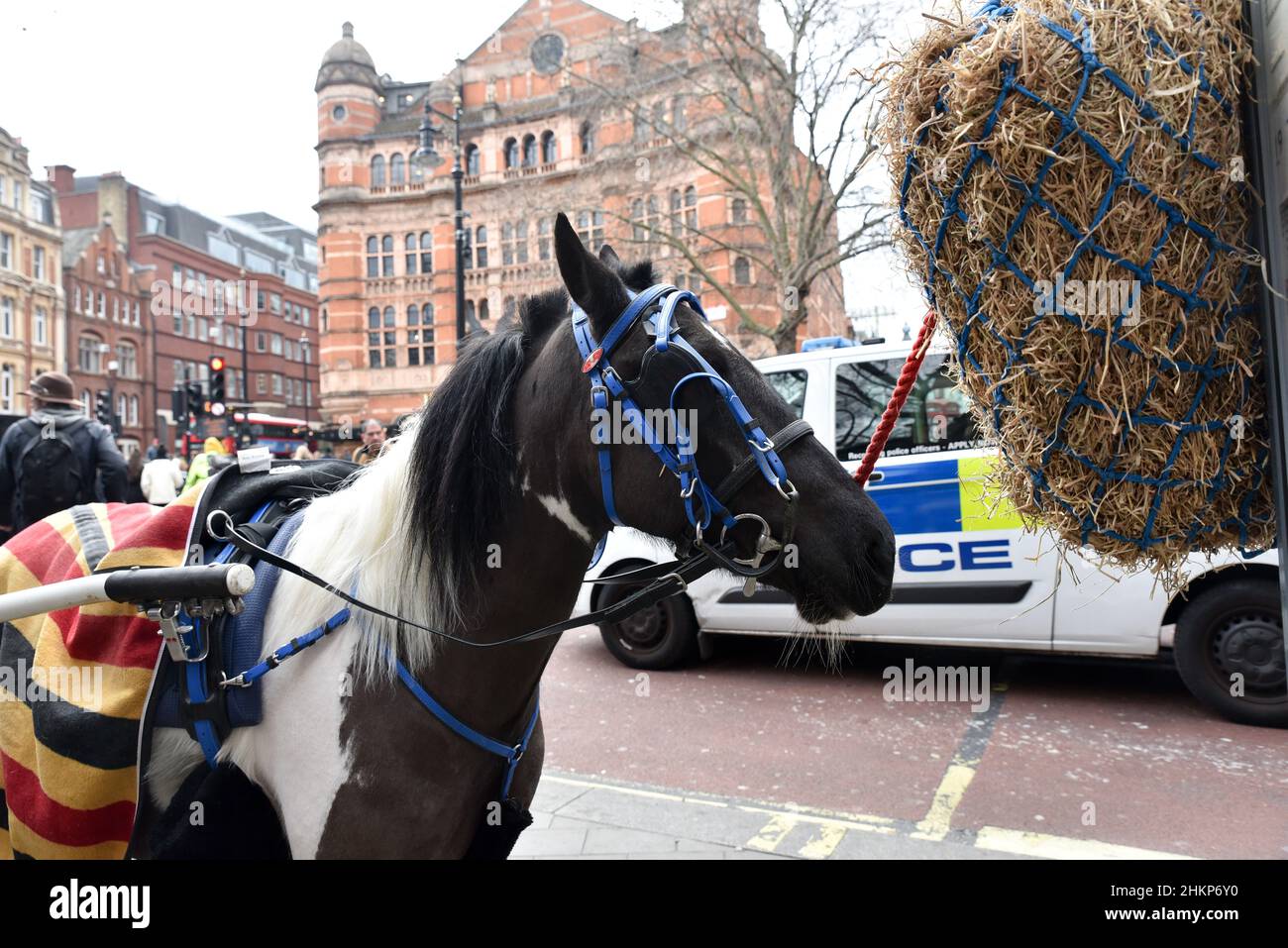 Cambridge Circus, London, UK. 5th February 2022. Travellers and their ...