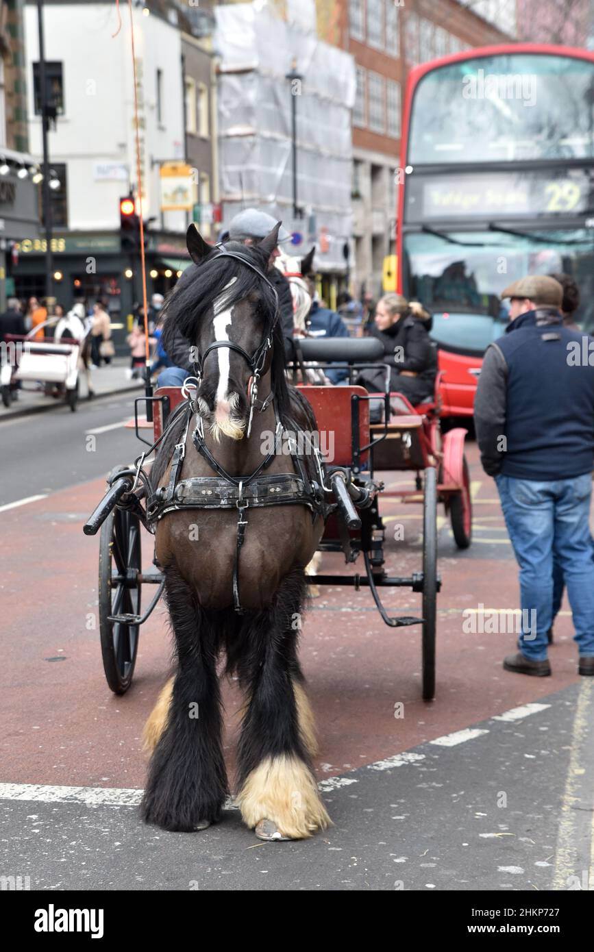 Cambridge Circus, London, UK. 5th February 2022. Travellers and their ...