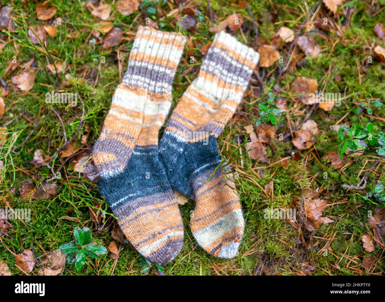 photography with knitted socks on a natural earth background ...