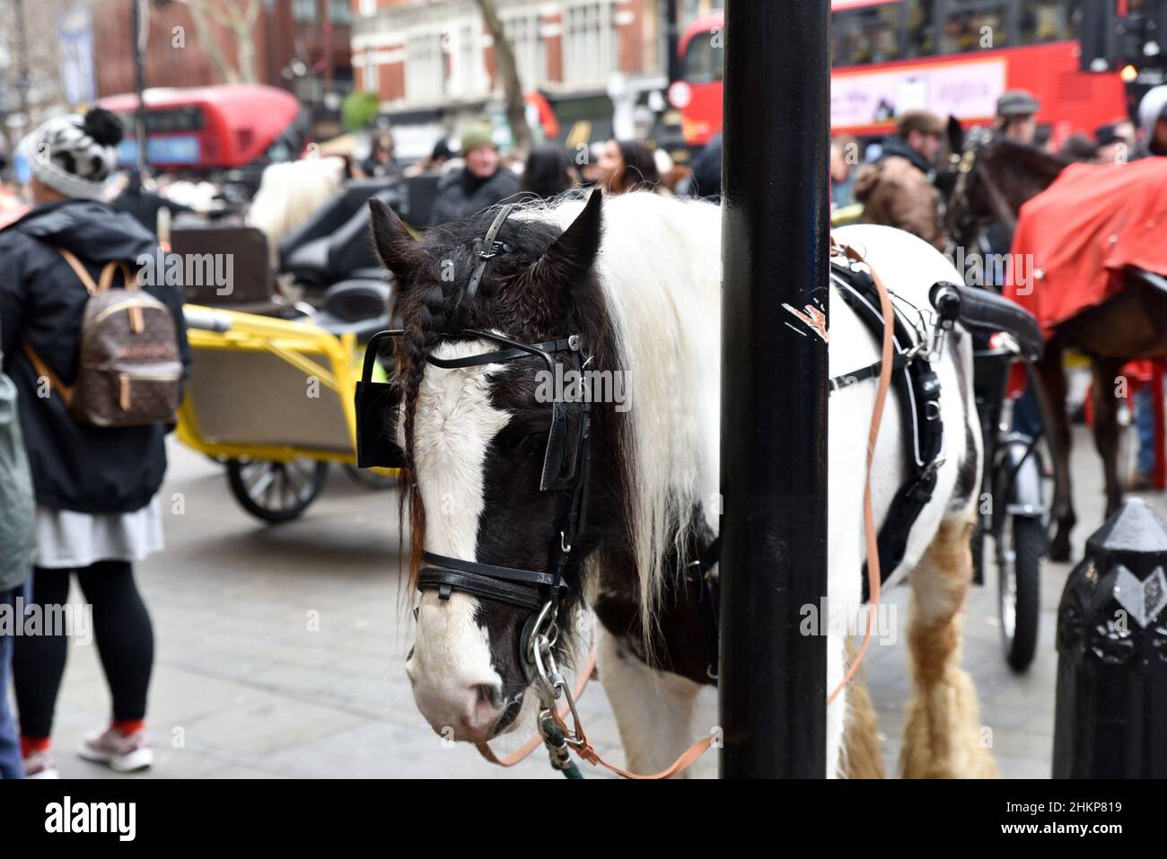 Cambridge Circus, London, UK. 5th February 2022. Travellers and their ...