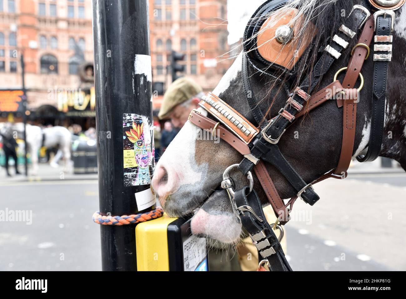 Cambridge Circus, London, UK. 5th February 2022. Travellers and their ...