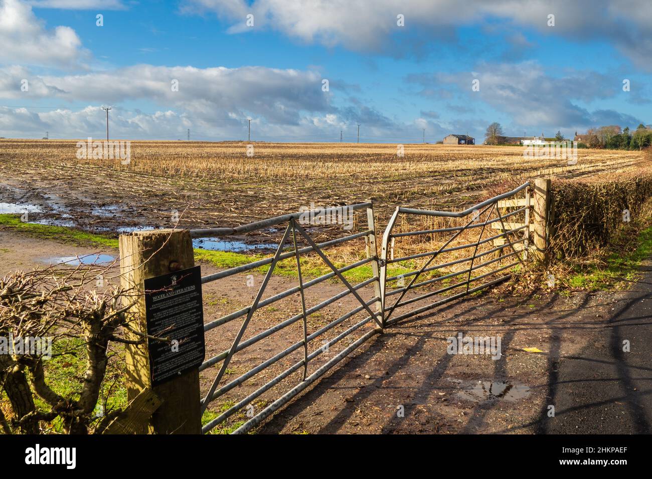 Dogging spot hi-res stock photography and images - Alamy