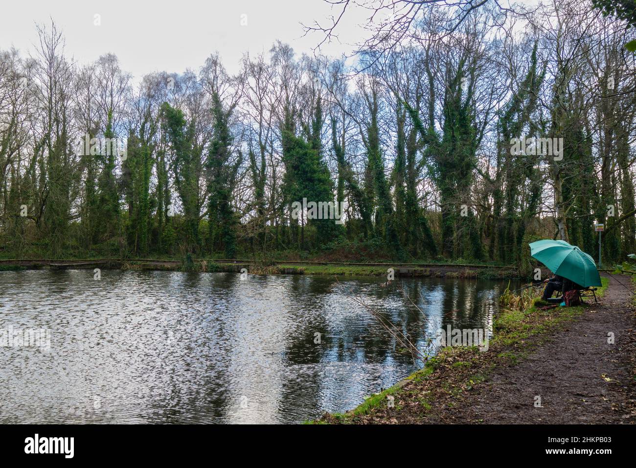 04.02.22 Rainford, Merseyside, UK. Siddings Lane is a nature reserver ...
