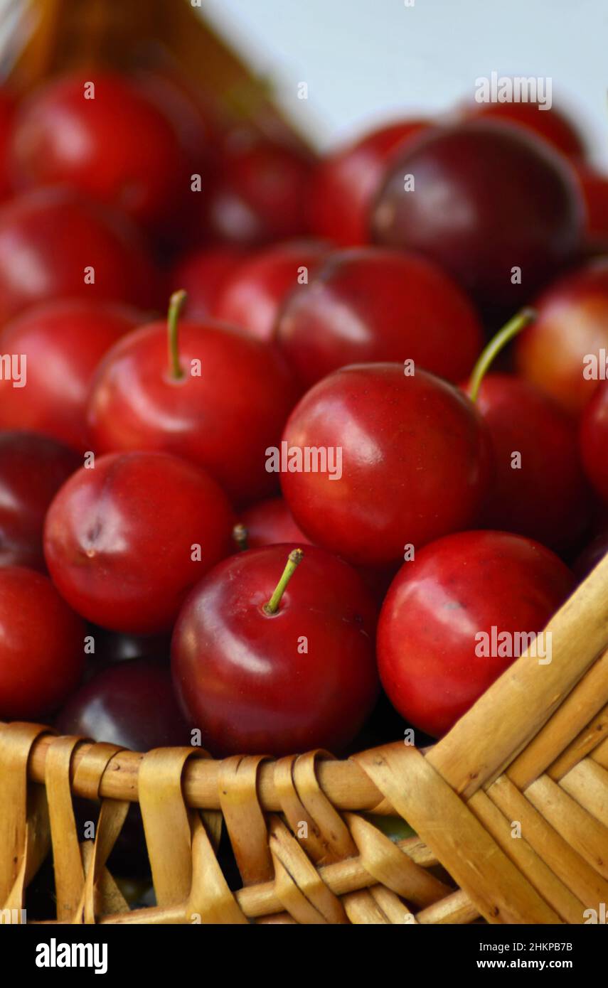 Wild cherry plums hi-res stock photography and images - Alamy