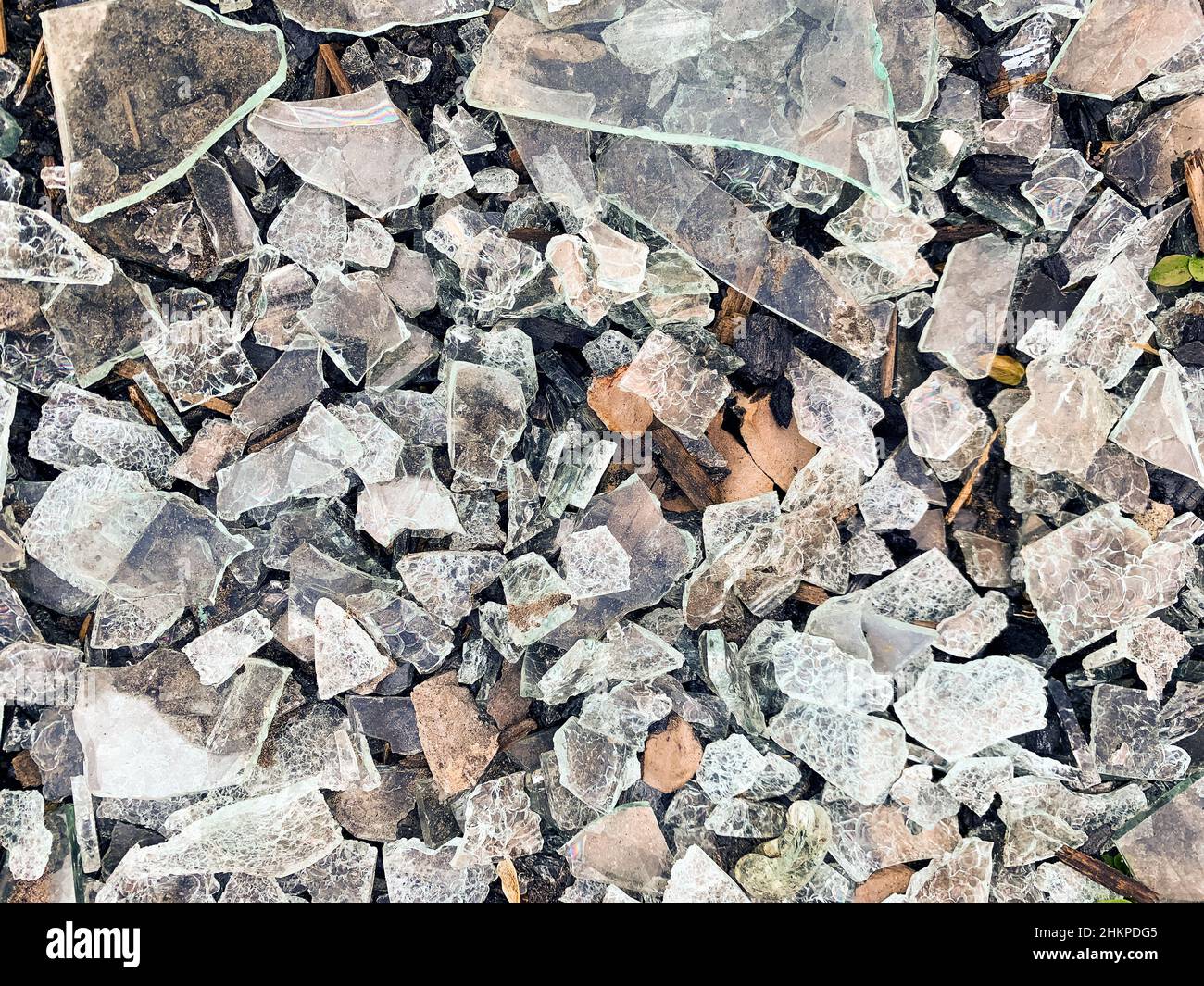 Pieces of broken glass on the ground Stock Photo - Alamy