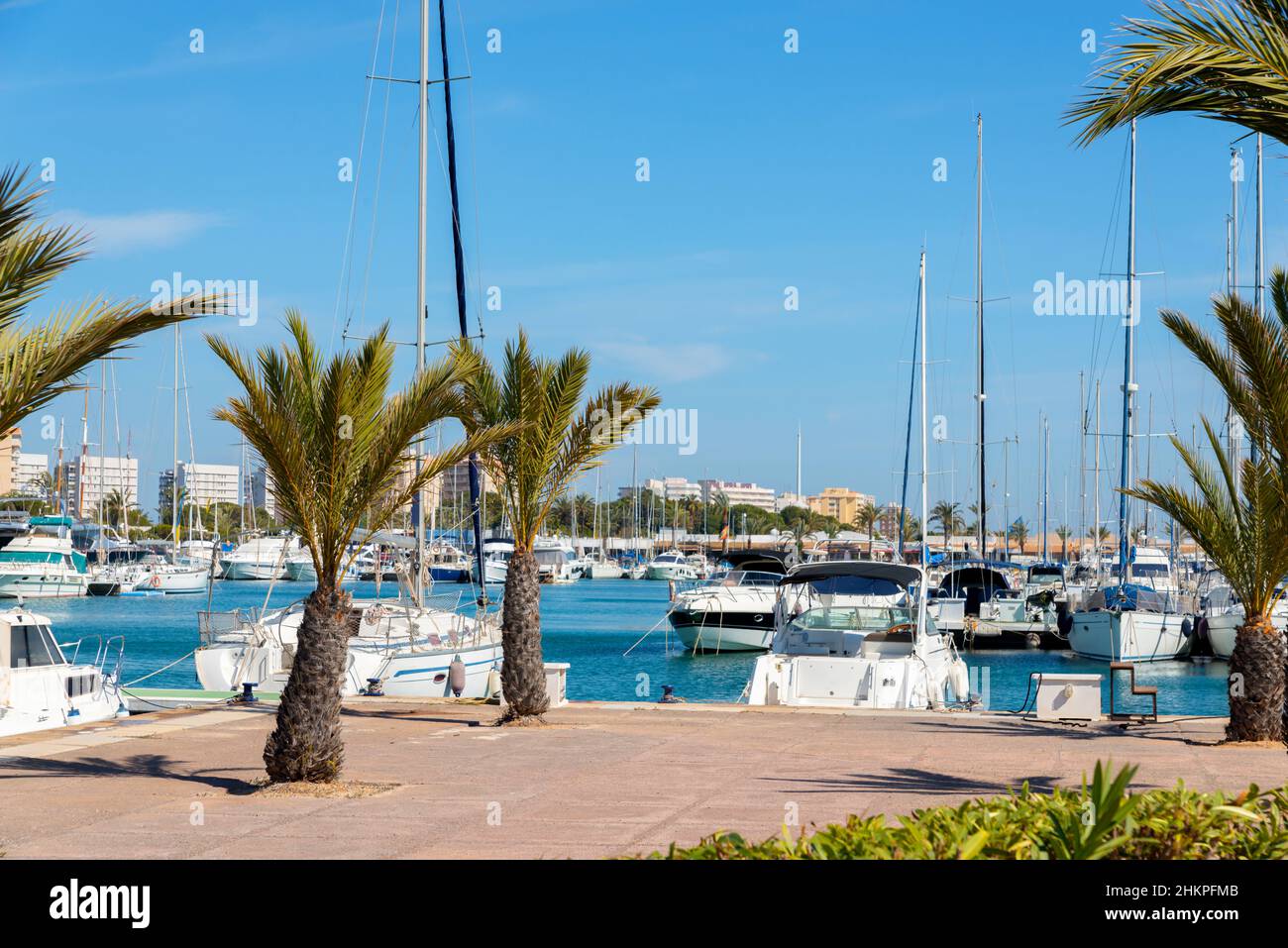 A beautiful marina with luxury yachts and motorboats in the tourist ...
