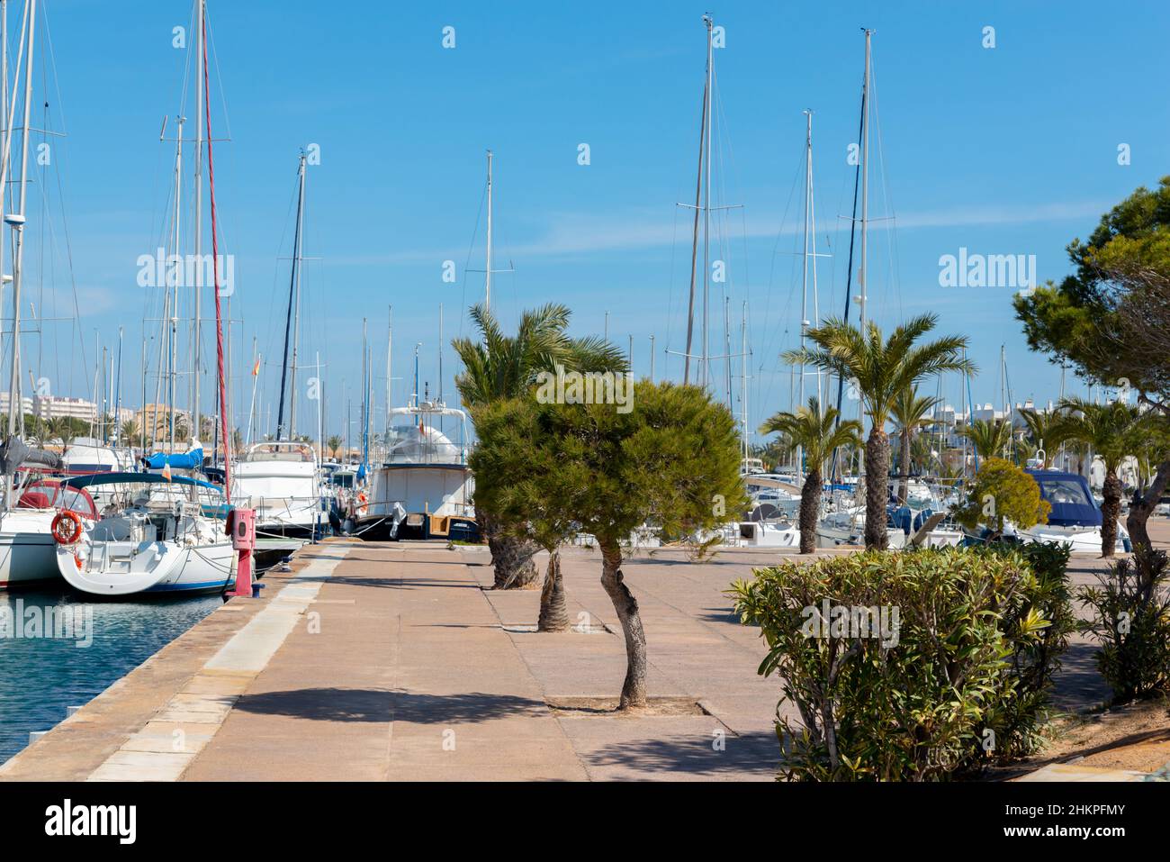A beautiful marina with luxury yachts and motorboats in the tourist ...