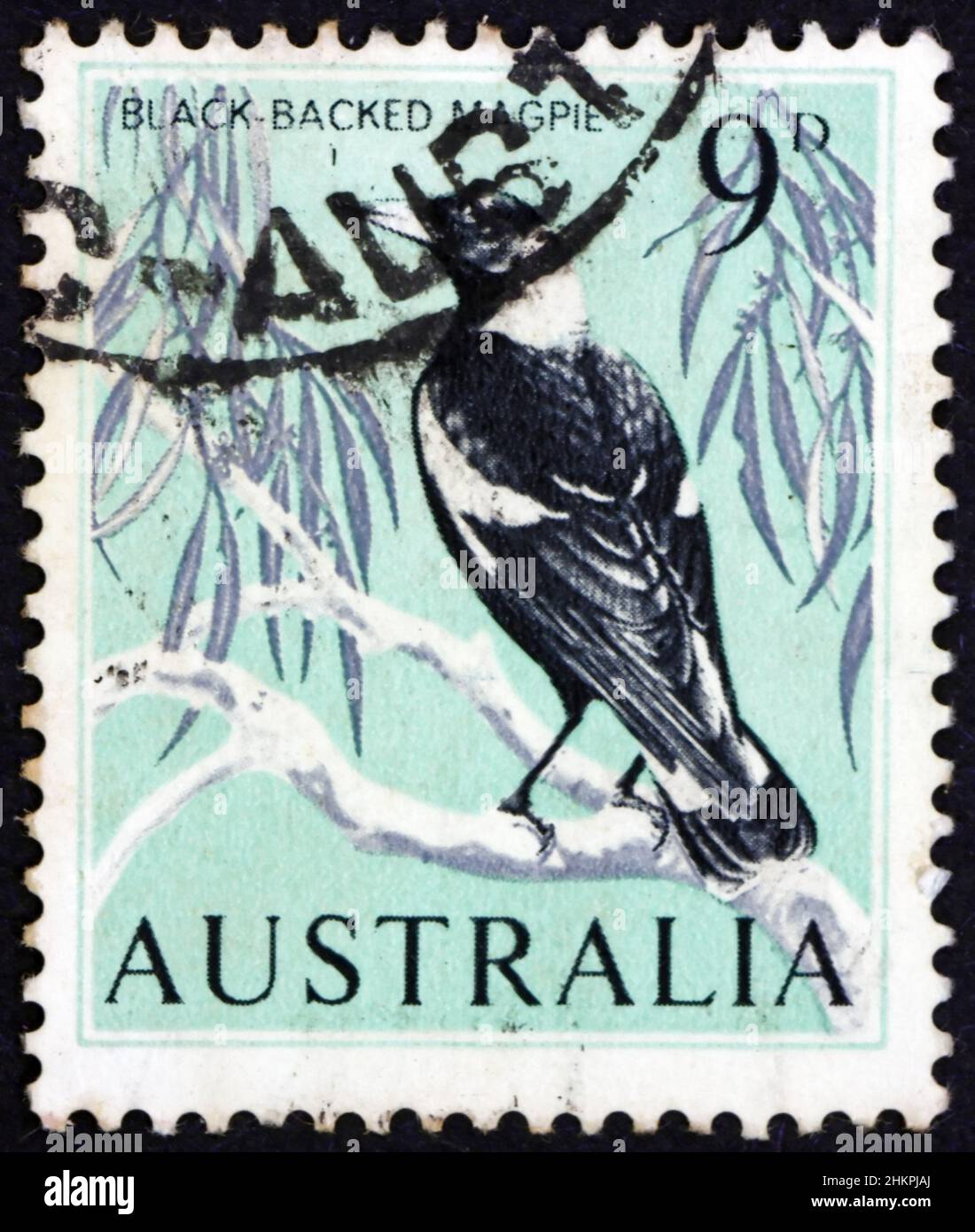 AUSTRALIA - CIRCA 1964: a stamp printed in Australia shows Australian ...