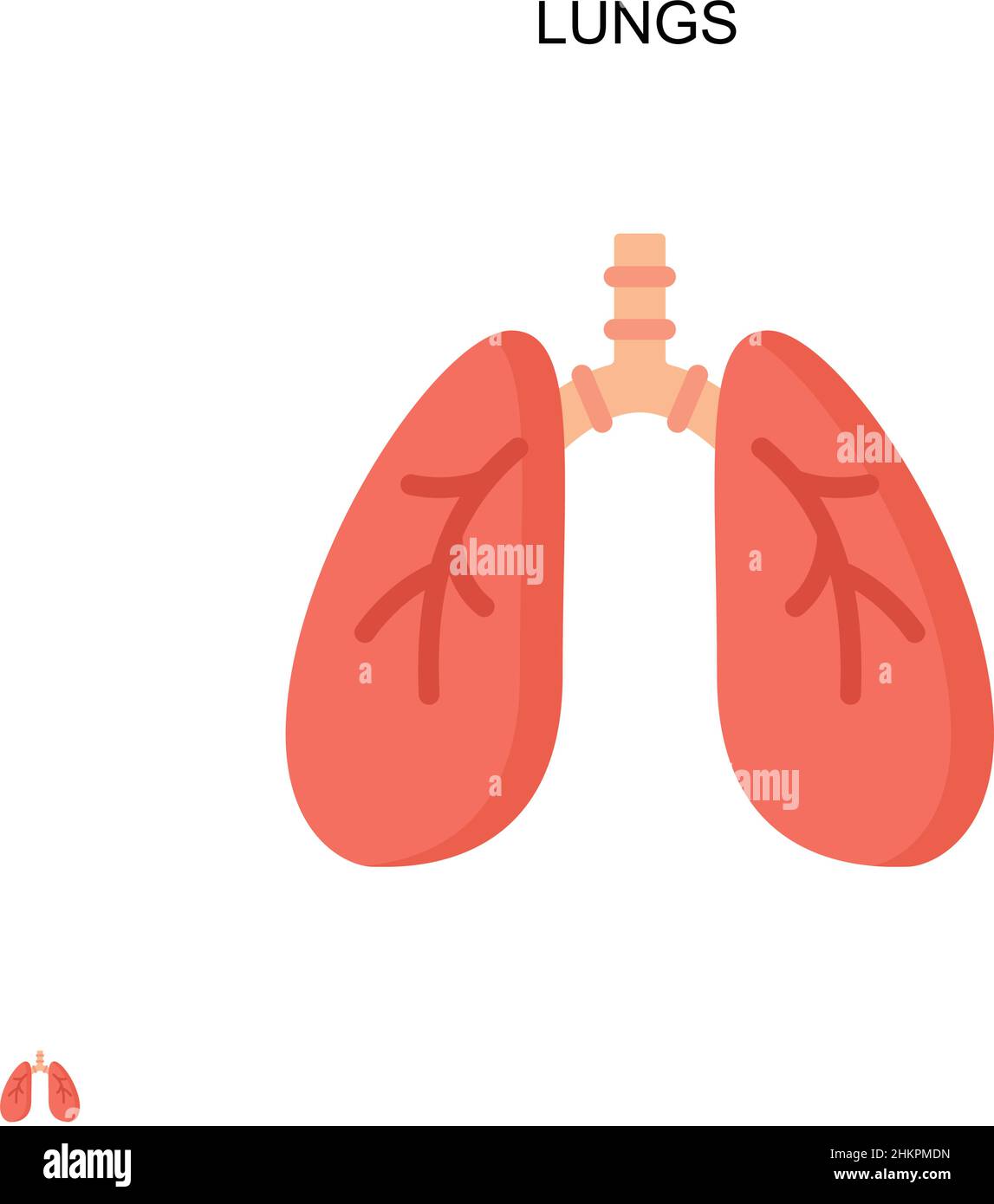 Lungs Simple vector icon. Illustration symbol design template for web ...