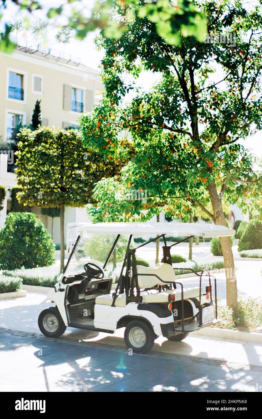 White golf cart stands on the sidewalk under green trees Stock Photo ...