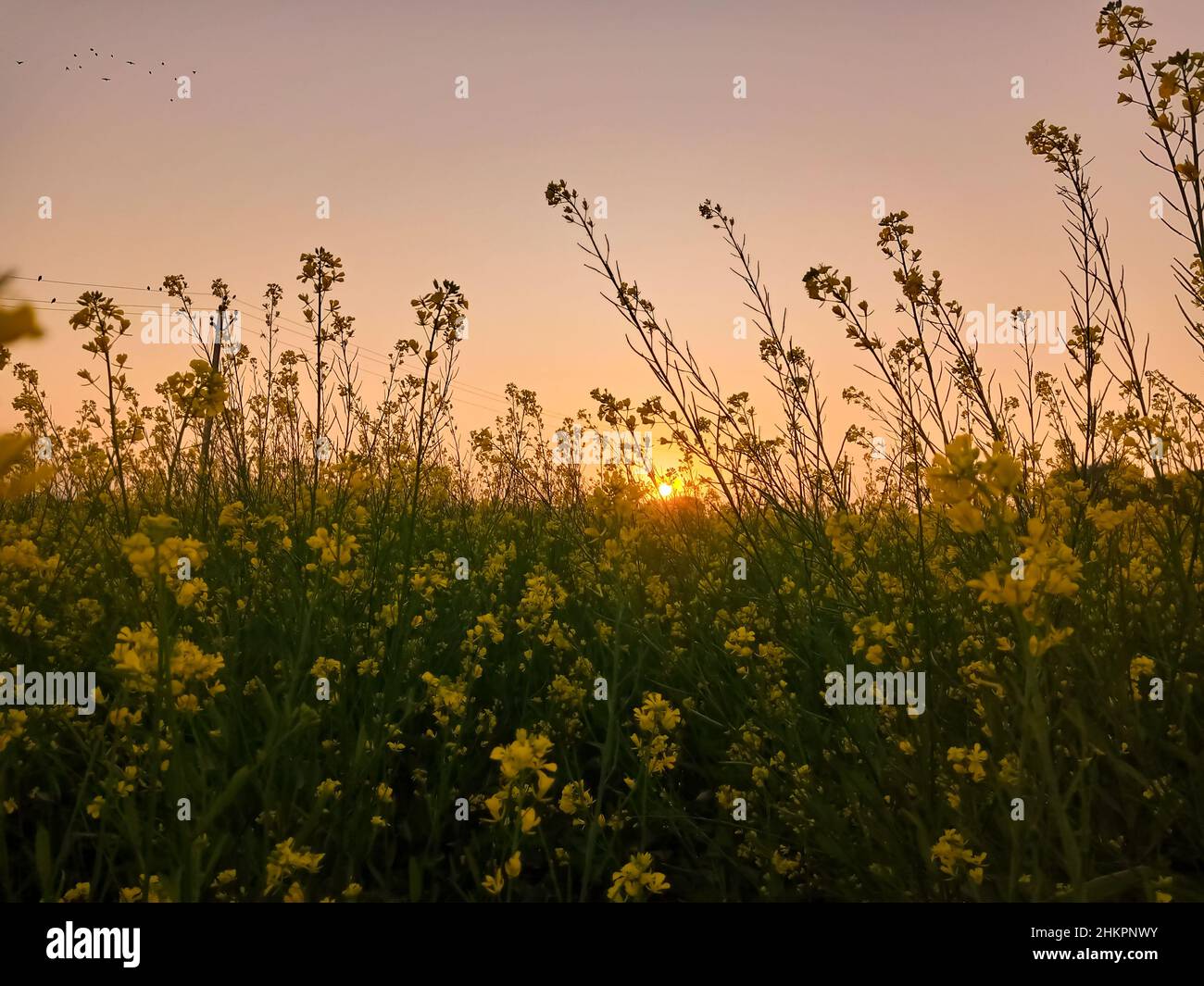 Farming moment hi-res stock photography and images - Alamy