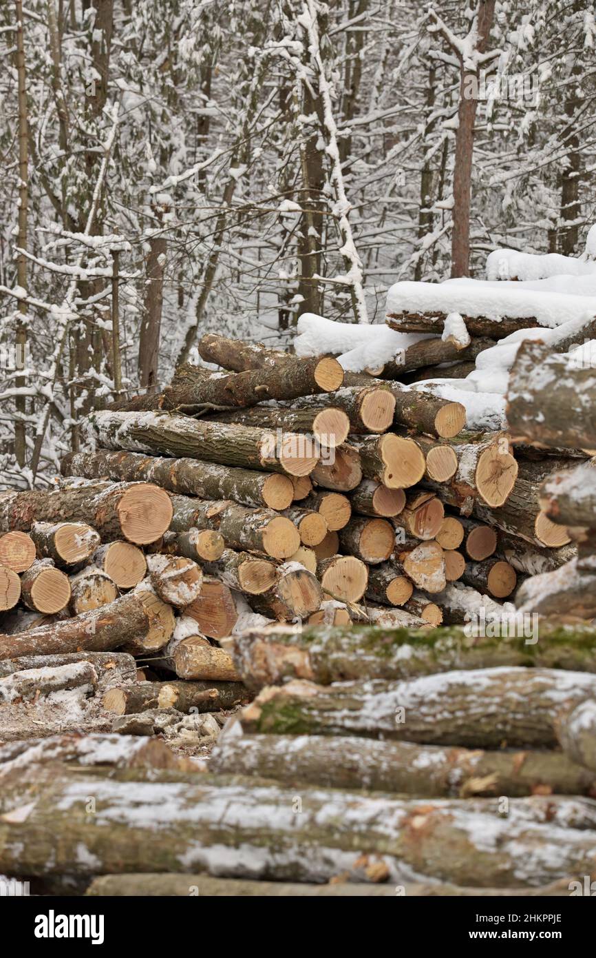 Logging operation hi-res stock photography and images - Alamy